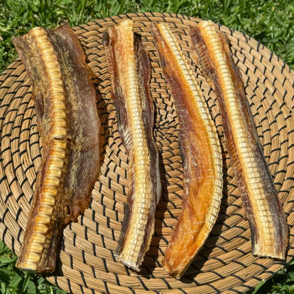 Shark Cartilage – Bark Doctor